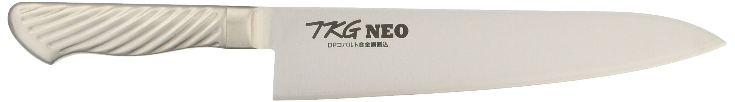 Endo Shoji Chef Knife 24cm Double-Edged Professional Tkg-Neo ATK8503
