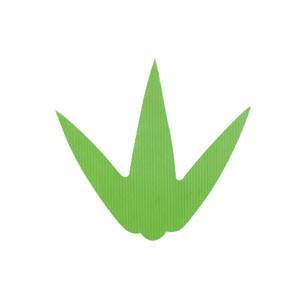 Asahi Sogyo Japan Baran Sushi Leaf Decoration (1000 Pcs) - Sanmai Sasa